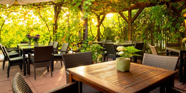 GUTSAUSSCHANK – Weingut Kessler – Eltville-Martinsthal